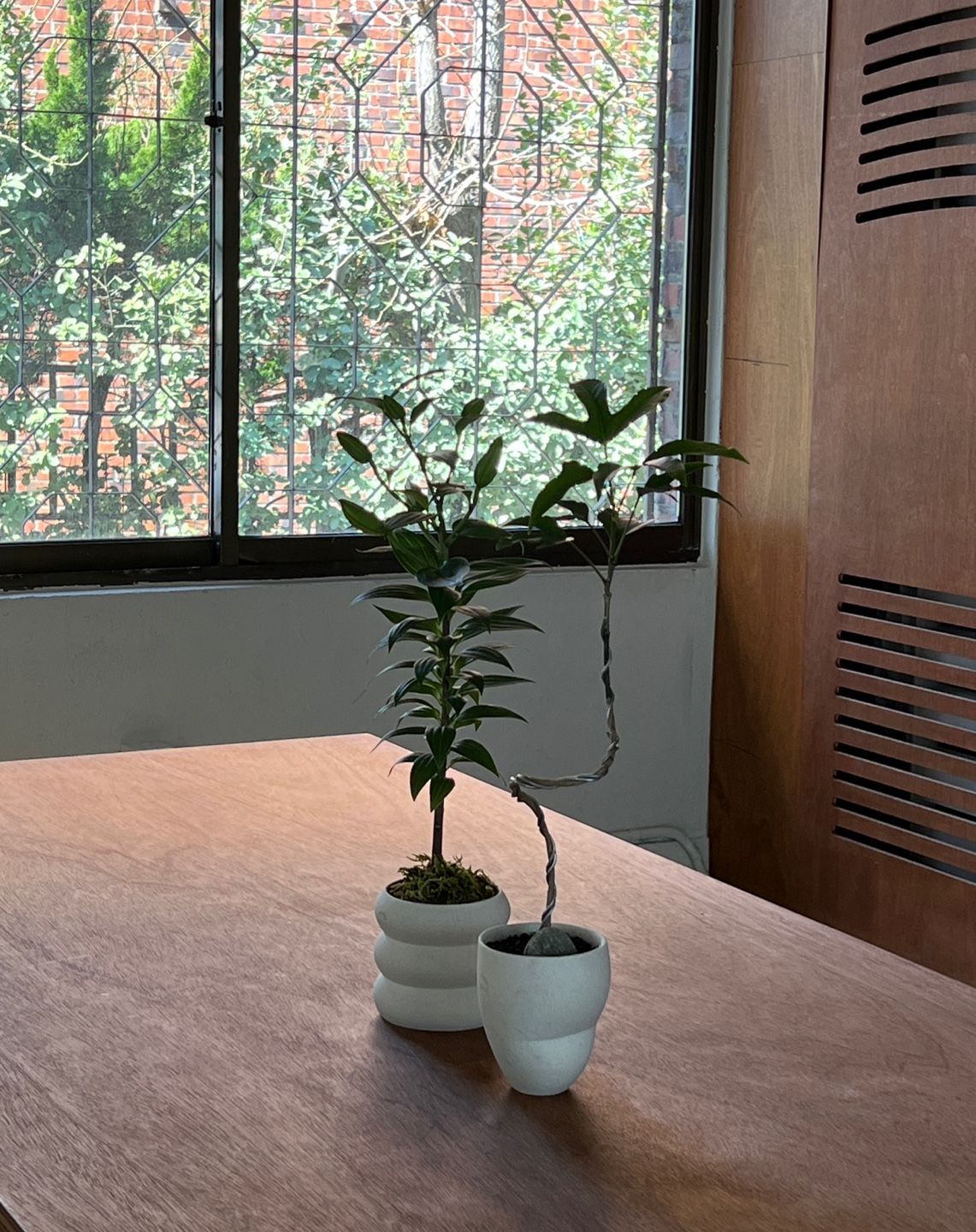 화병·화분 > Curve pot | 오늘의집 쇼핑