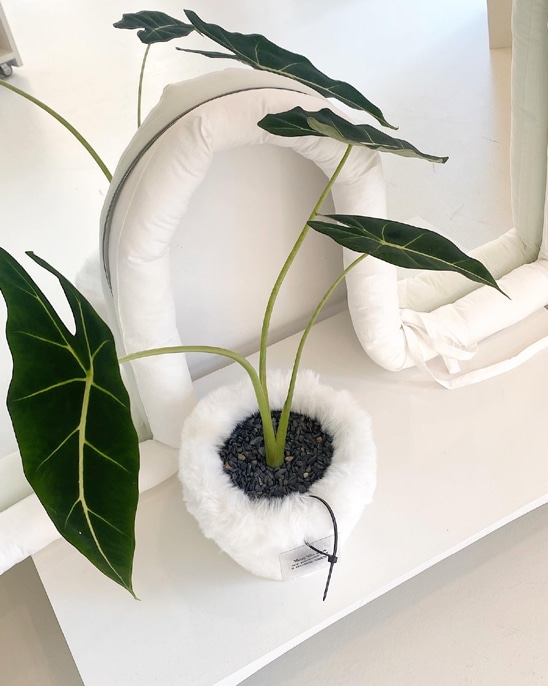 화병·화분 > Original 디자인특허 FLUFFY POT_ WHITE 플러피 팟 팟커버 | 오늘의집 쇼핑