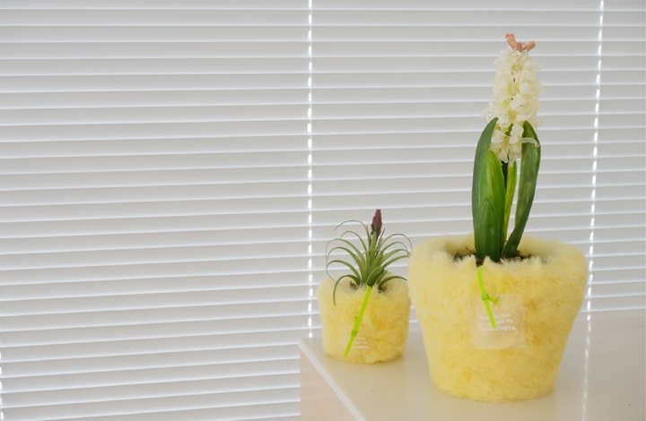 화병·화분 > Original 디자인특허 FLUFFY POT_ YELLOW 플러피 팟 팟커버 | 오늘의집 쇼핑
