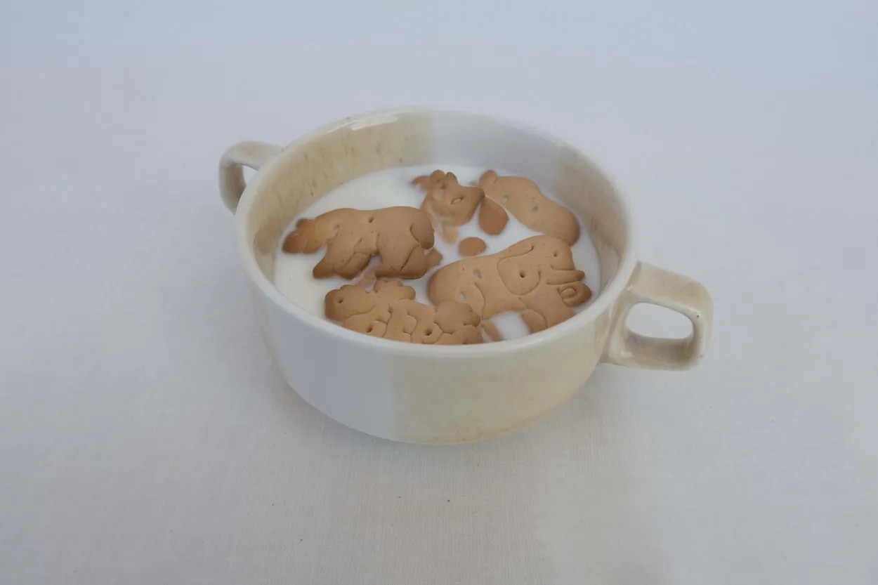 샐러드볼·다용도볼 > Supul Layer Bowl | 오늘의집 쇼핑