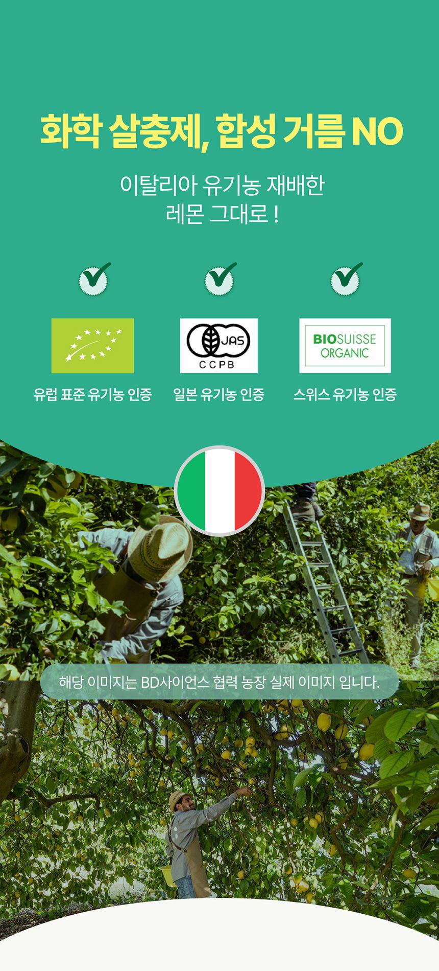 과일·야채음료 > 유기농 NFC 100% 레몬즙 100포 1팩 | 오늘의집 쇼핑