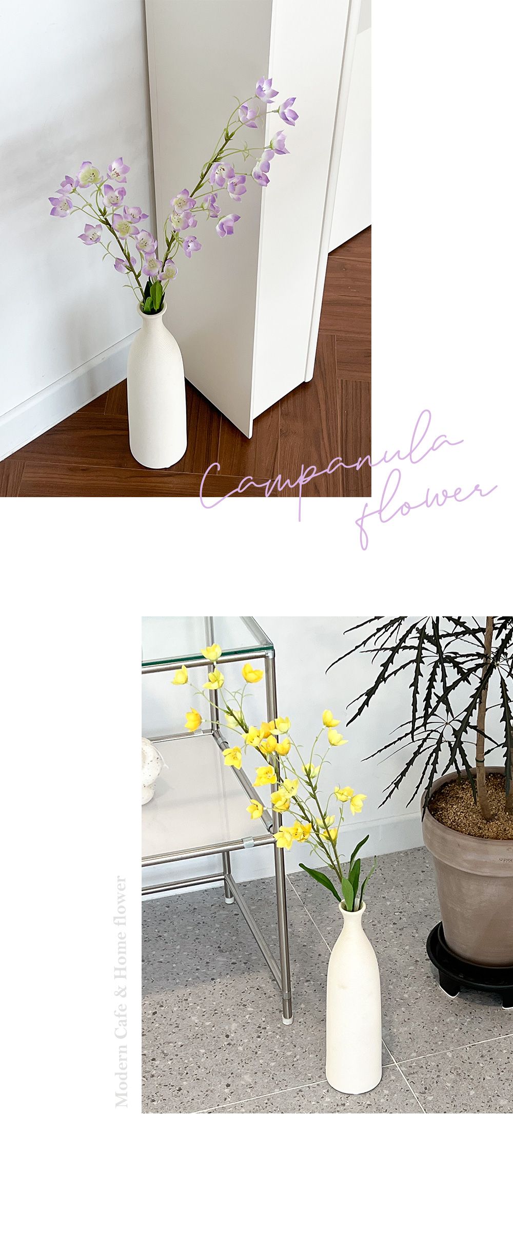 조화 > bookaz 캄파눌라 6color | 오늘의집 쇼핑