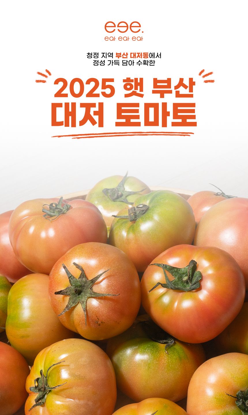 과일 > 2025 햇 부산 대저 짭짤이 토마토 2.5kg 과일 쥬스용 주스용 | 오늘의집 쇼핑
