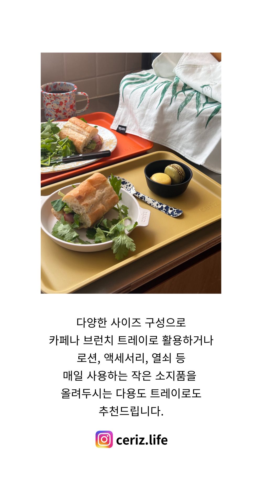 쟁반·바구니 > 로플트레이1P(4size/4color) | 오늘의집 쇼핑