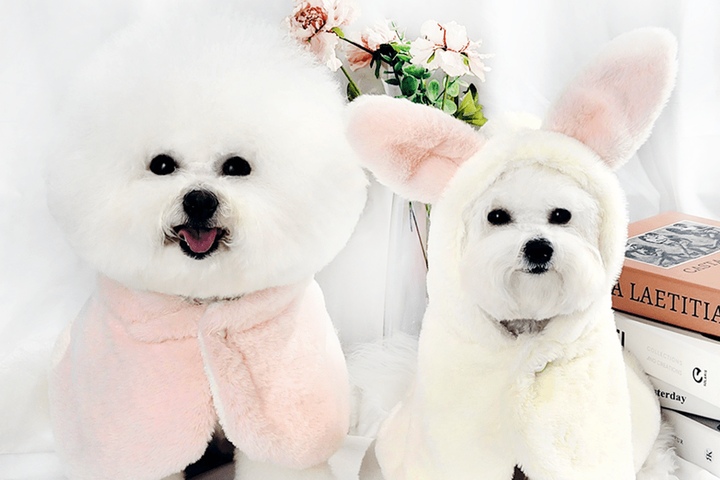 강아지 패션 강아지망토 고양이 겨울옷 담요 토끼망토 오늘의집 쇼핑