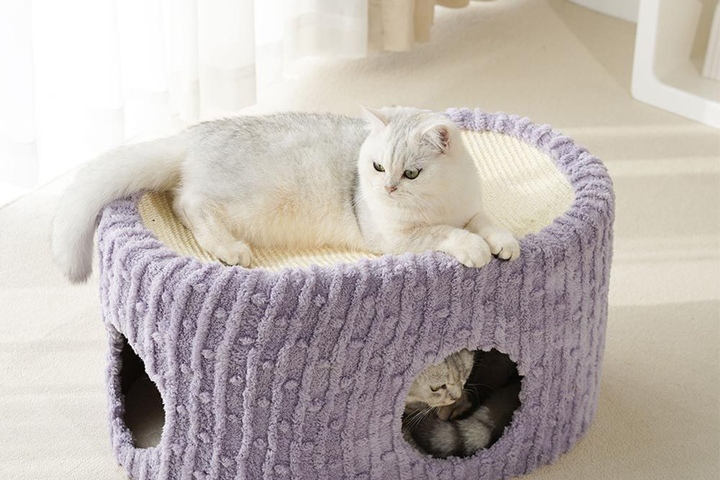 고양이 리빙 고양이 대형 복층 숨숨집 스크래쳐 오늘의집 쇼핑