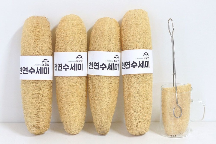 행주·수세미·솔 천연수세미 기본형4개 병솔집게1개 세트 설거지수세미 오늘의집 쇼핑