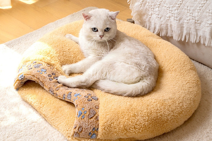 고양이 리빙 강아지 고양이 방석 쿠션 침대 애견 이불 브라운 오늘의집 쇼핑