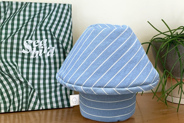 트레이·보석함 머쉬룸 수납함 Blue Stripe Mushroom 오늘의집 쇼핑