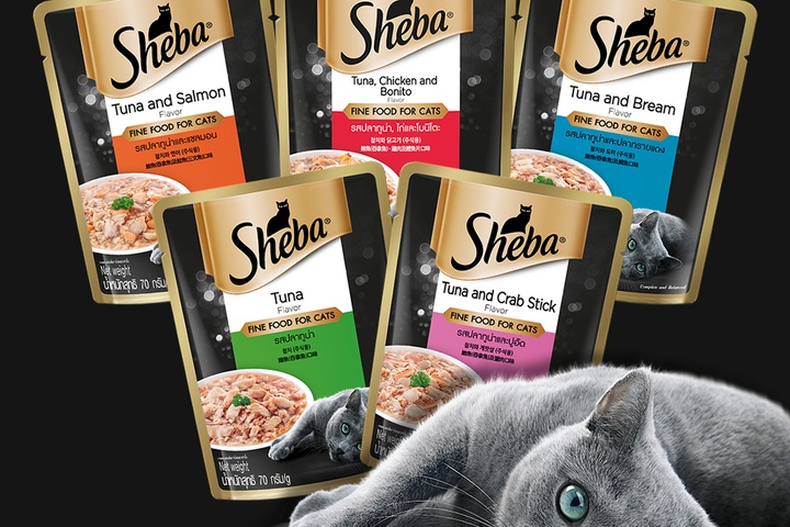 고양이 사료·간식 고양이사료 파우치 1 Box 70g X144 참치 게맛살 연어 닭고기 도미 오늘의집 쇼핑