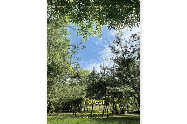 그림·사진 A4 미니 포스터 인테리어 포스터 02 Forest Poster 오늘의집 쇼핑