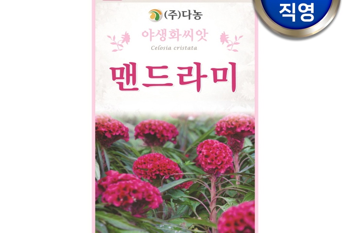 식물 맨드라미 씨앗 2g 맨드래미 조경 정원 꽃밭 관상용 야생화 꾸미기 꽃씨 종자 오늘의집 쇼핑