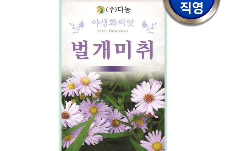 식물 벌개미취 씨앗 1kg 별개미취 예쁜 야생화 정원 조경 꽃씨 종자 오늘의집 쇼핑