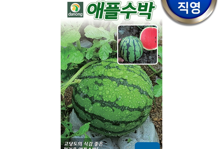 식물 히로미 애플수박 씨앗 1000립 미니 작은 고당도 꿀 설탕 수박 채소 씨 종자 오늘의집 쇼핑