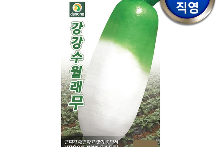 식물 강강수월래무 씨앗 30g 원예 야채 채소 무우 김장 김치용 텃밭 재배 씨 종자 오늘의집 쇼핑