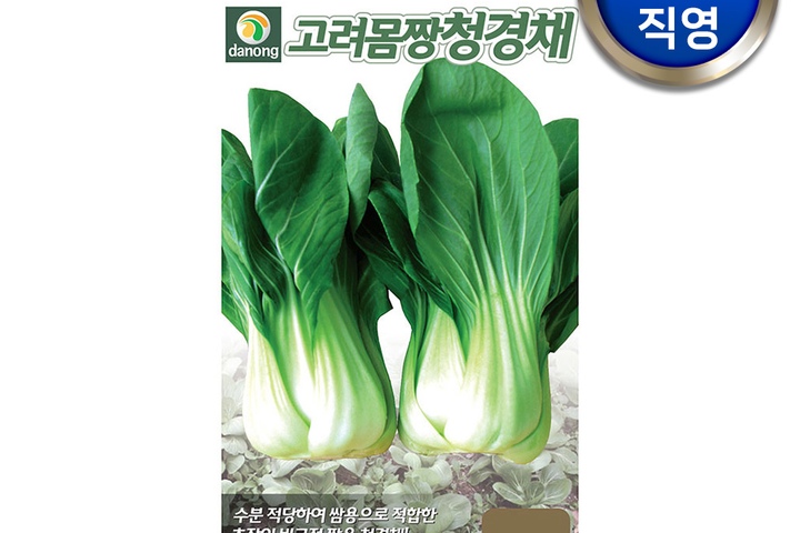 식물 고려몸짱 청경채 씨앗 1500립 채소 텃밭 재배 주말 농장 파종 씨 종자 오늘의집 쇼핑