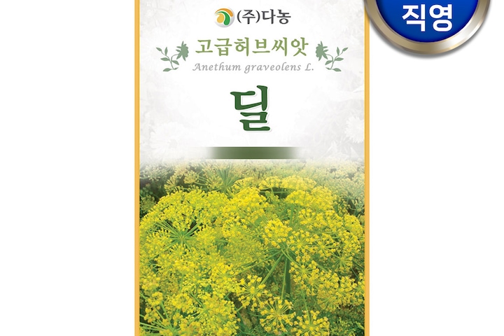 식물 딜허브 씨앗 1g 정원 텃밭 화단 허브 식물 심기 파종 키우기 꽃씨 종자 오늘의집 쇼핑