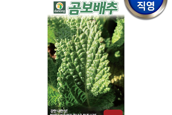 식물 곰보 배추 씨앗 1000립 원예 야채 채소 텃밭 주말 농장 씨 종자 오늘의집 쇼핑