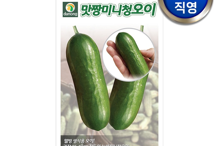 식물 맛짱 미니 청오이 씨앗 10립 야채 채소 텃밭 파종 재배 주말 농장 씨 종자 오늘의집 쇼핑