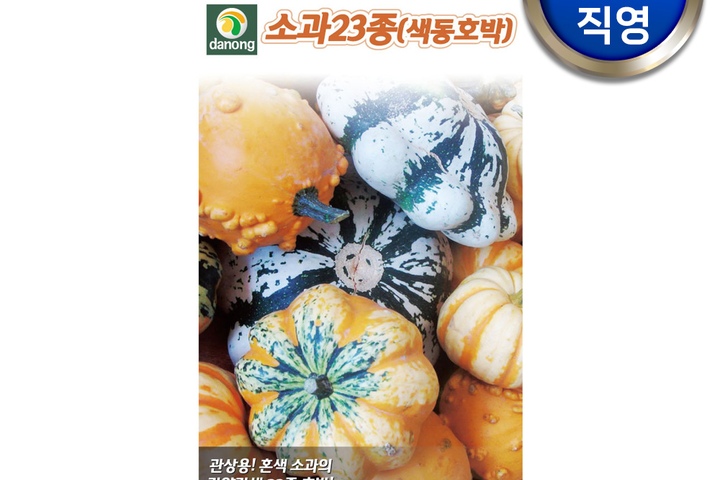 식물 색동 호박 소과23종 씨앗 100립 야채 채소 텃밭 재배 파종 씨 종자 오늘의집 쇼핑