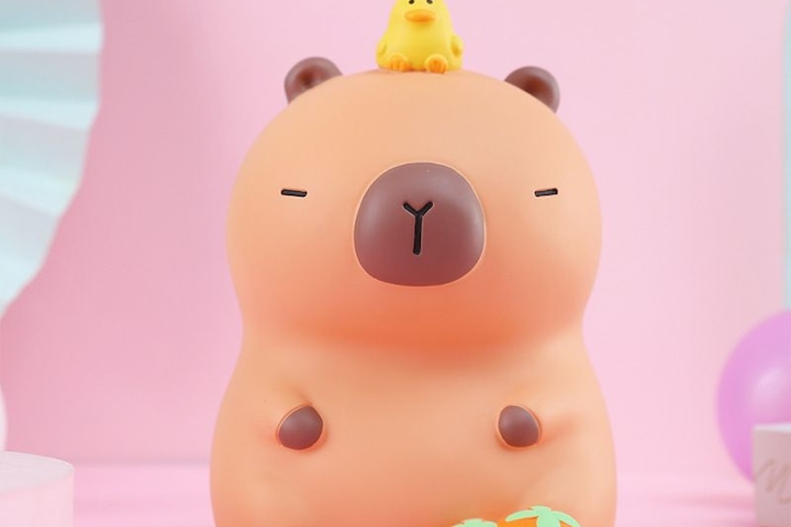 기타장식용품 땡그랑 카피바라 저금통 집들이 자취 이사 집들이 응원 귀여운 선물 오늘의집 쇼핑