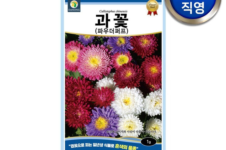 식물 과꽃 파우더퍼프 씨앗 1g 겹꽃 혼색 일년생 야생화 꽃 조경 식물 꽃씨 종자 오늘의집 쇼핑