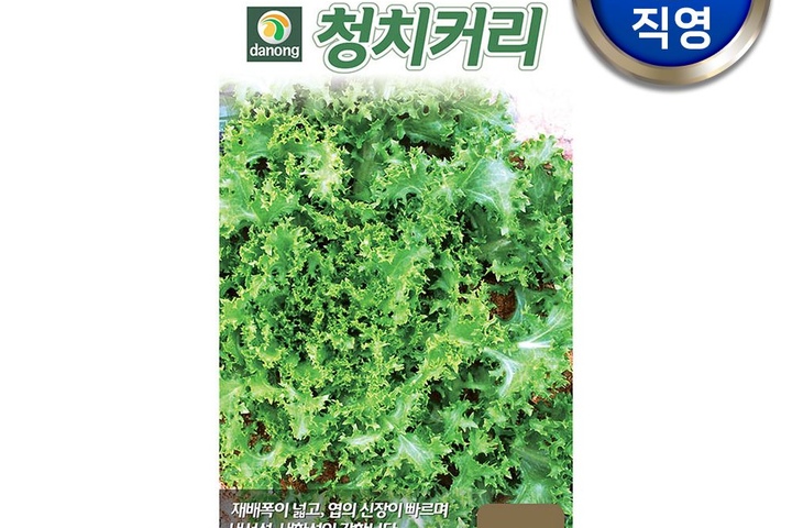 식물 청치커리 씨앗 2000립 야채 채소 텃밭 파종 재배 주말 농장 씨 종자 오늘의집 쇼핑