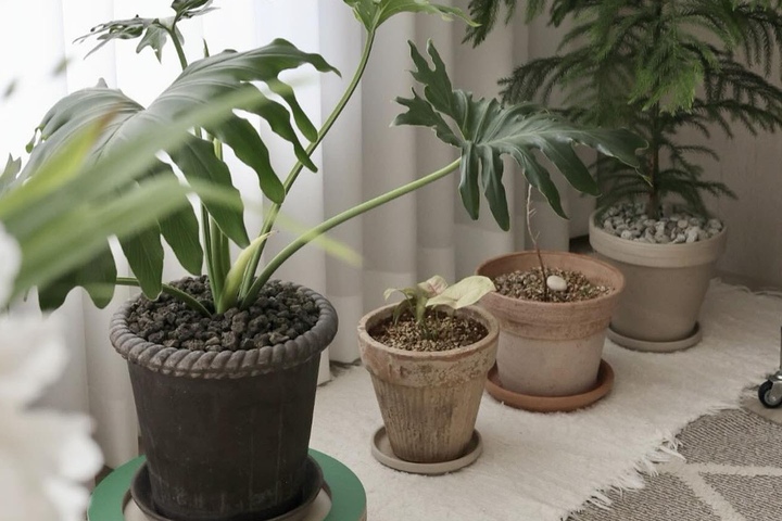 화병·화분 로이츠 플래드 화분트롤리 오늘의집 쇼핑