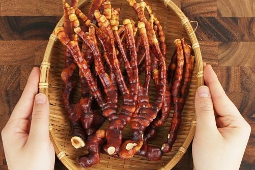 쌀·채소 충북 진천 친환경 무농약 건 녹각영지버섯 100g 오늘의집 쇼핑