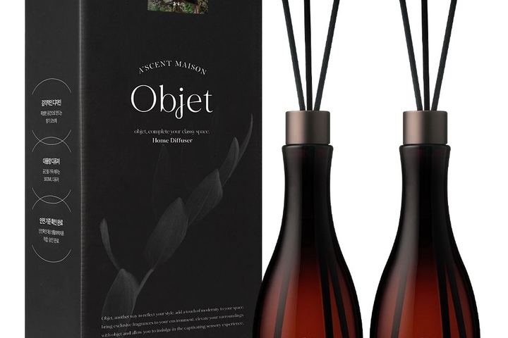 디퓨져 오브제 디퓨저 300ml 2개 세트 오늘의집 쇼핑