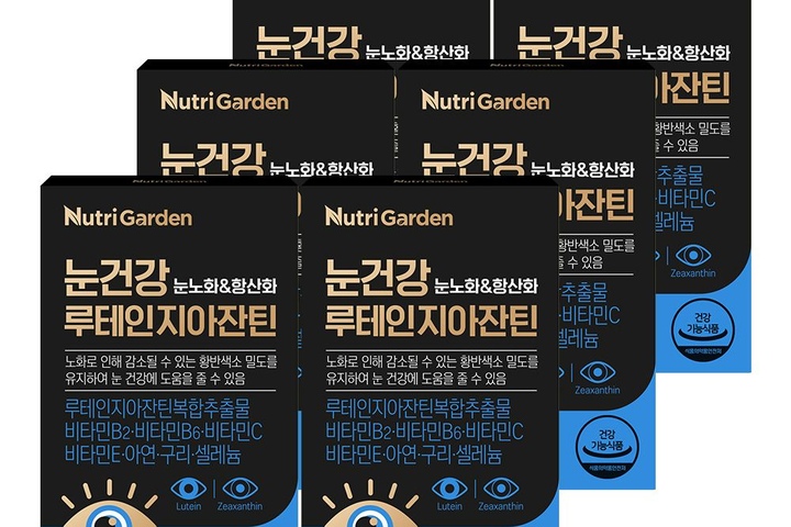 건강기능인증 눈건강 루테인지아잔틴 6박스 총6개월분 눈영양제 항산화 8중 복합 기능성 루테인 오늘의집 쇼핑