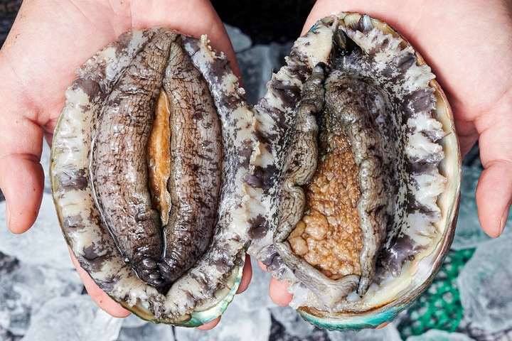 수산·건해산 완도 활 전복 1kg 오늘의집 쇼핑