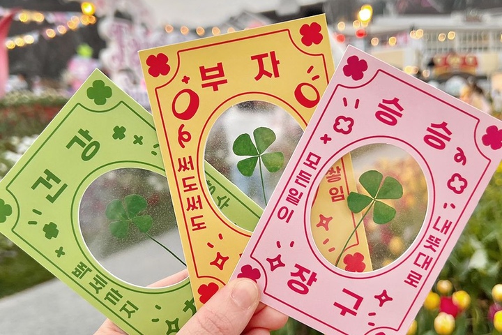 기타디자인용품 네잎클로버 생화 행운 코팅 부적 6종 친구 고3 취준생 선물 클로버 행운의 합격 응원 굿즈 오늘의집 쇼핑