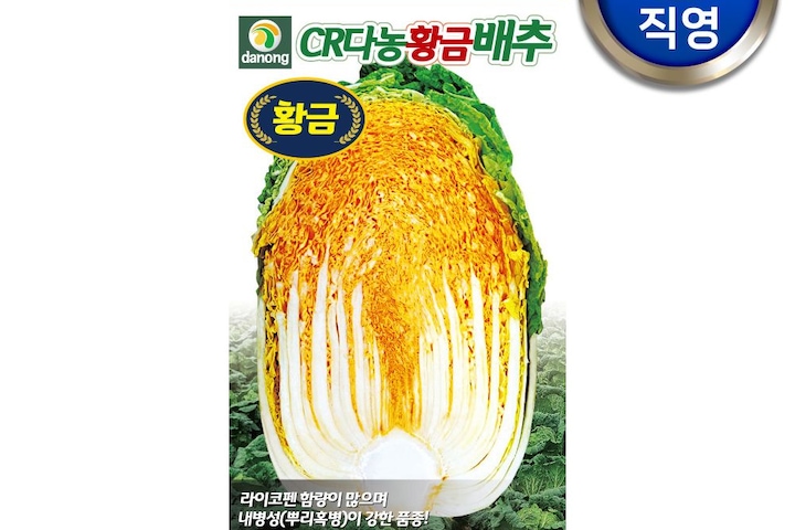 식물 Cr 황금 배추 씨앗 300립야채 채소 엽채류 김장 가을 파종 텃밭 씨 종자 오늘의집 쇼핑
