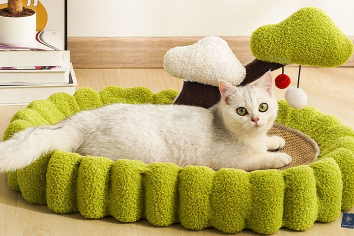 고양이 리빙 고양이 그린랜드 부클 스크래쳐 오늘의집 쇼핑