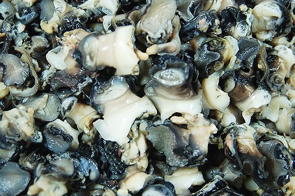 수산·건해산 양평 청정지역 논에 키운 논우렁 왕우렁이살 1kg1kg 오늘의집 쇼핑
