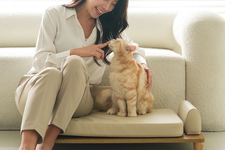 강아지 리빙 메이플 라운드 강아지 침대 고양이 펫 소파 애견 논슬립 방수 하우스 펫베드 오늘의집 쇼핑
