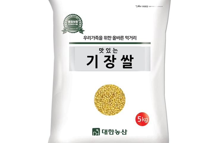 쌀·채소 수입 기장쌀 5kg 기장 노란 좁쌀 오늘의집 쇼핑