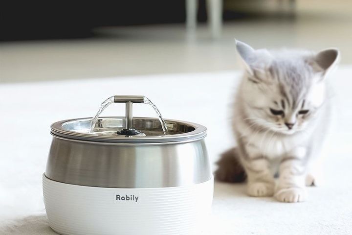 고양이 리빙 강아지 고양이 애견 스테인리스 스마트 자동급수기 정수기 3l 오늘의집 쇼핑