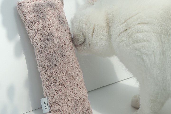 고양이 리빙 핑크 부클레 마따따비 쿠션 오늘의집 쇼핑