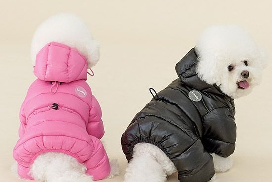 강아지 패션 몽셸 패딩 하네스 올인원 6size 3colors 오늘의집 쇼핑