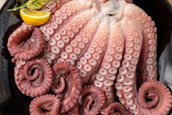 수산·건해산 국내산 문어 숙회 자숙 돌문어 자연산 1kg 오늘의집 쇼핑