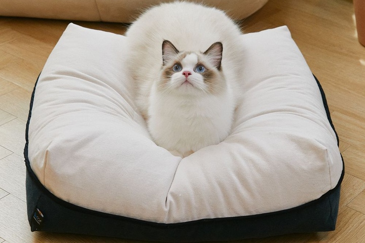 고양이 리빙 부티블랙홀 강아지 고양이 알러지케어 무중력 해먹 쿠션방석 오늘의집 쇼핑